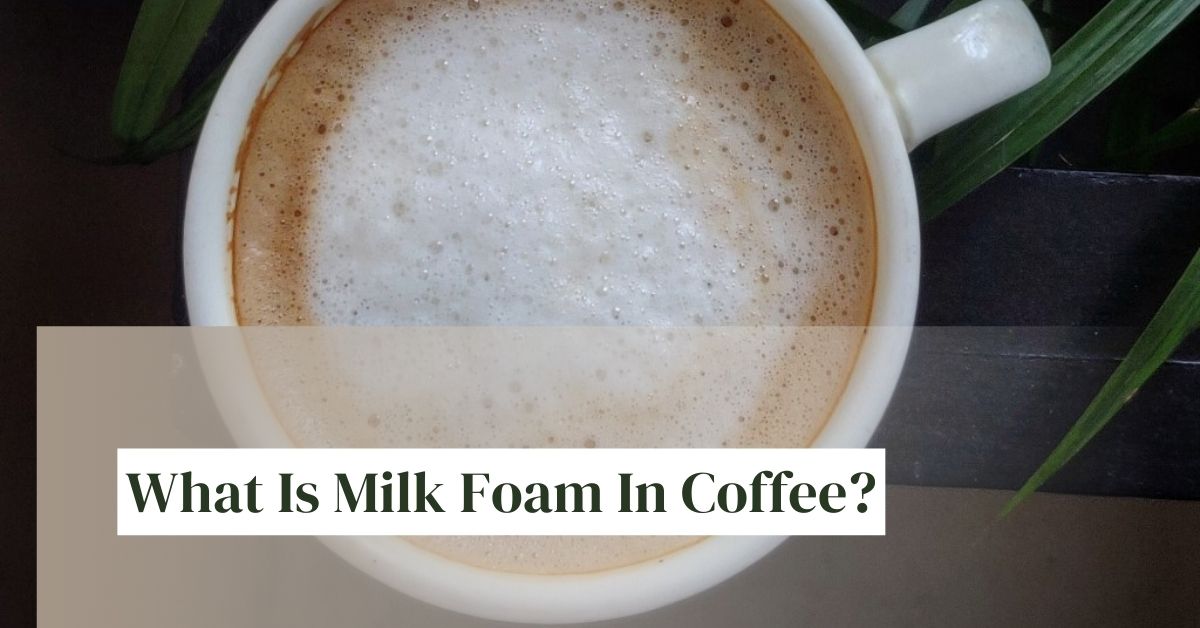 What Is Milk Foam In Coffee? - CoffeeAtoZ