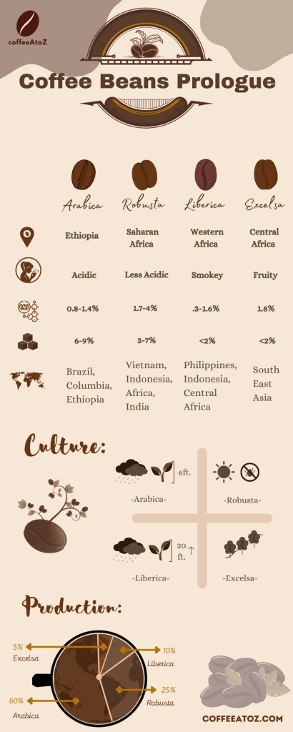 The Story of Different Types of Coffee Beans