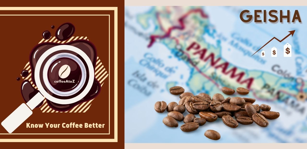 Unveiling the Secrets: Why Is Geisha Coffee So Expensive?