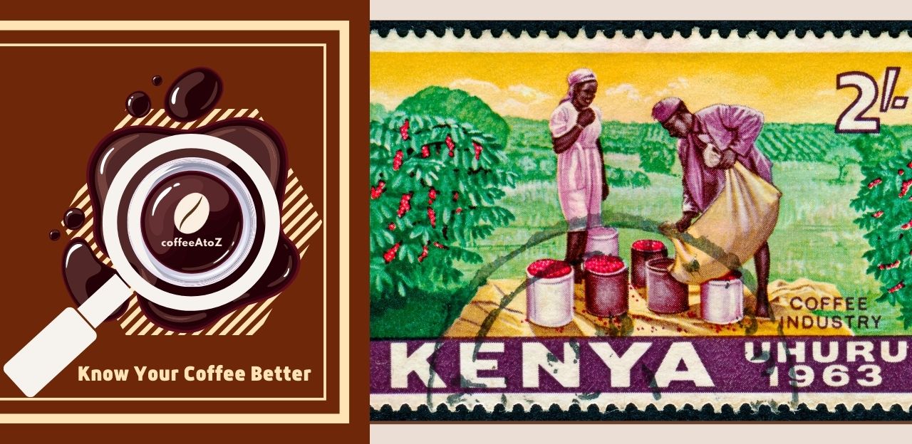 Kenyan Coffees: Exploring Complex Flavors and Unique Aromas