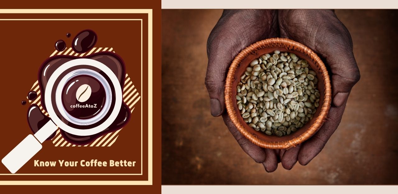 Ethiopian Coffee: Mother Of Arabica & Flavorful Enjoyment!