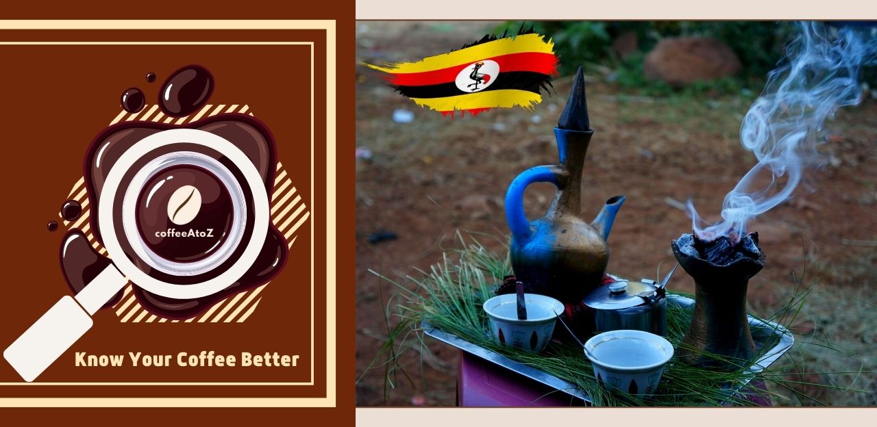 Ugandan Coffee: Unique Flavors and Roasting Secrets