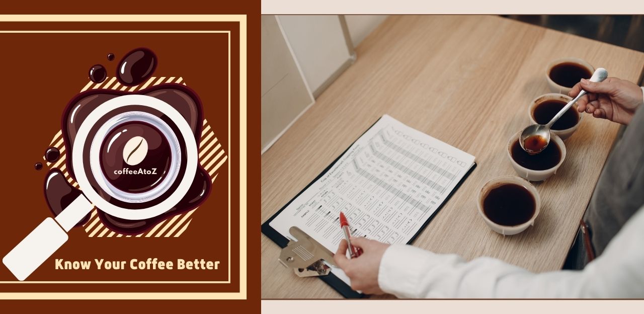 Elements of Tasting Coffee: Aromas, Flavors, and Joy